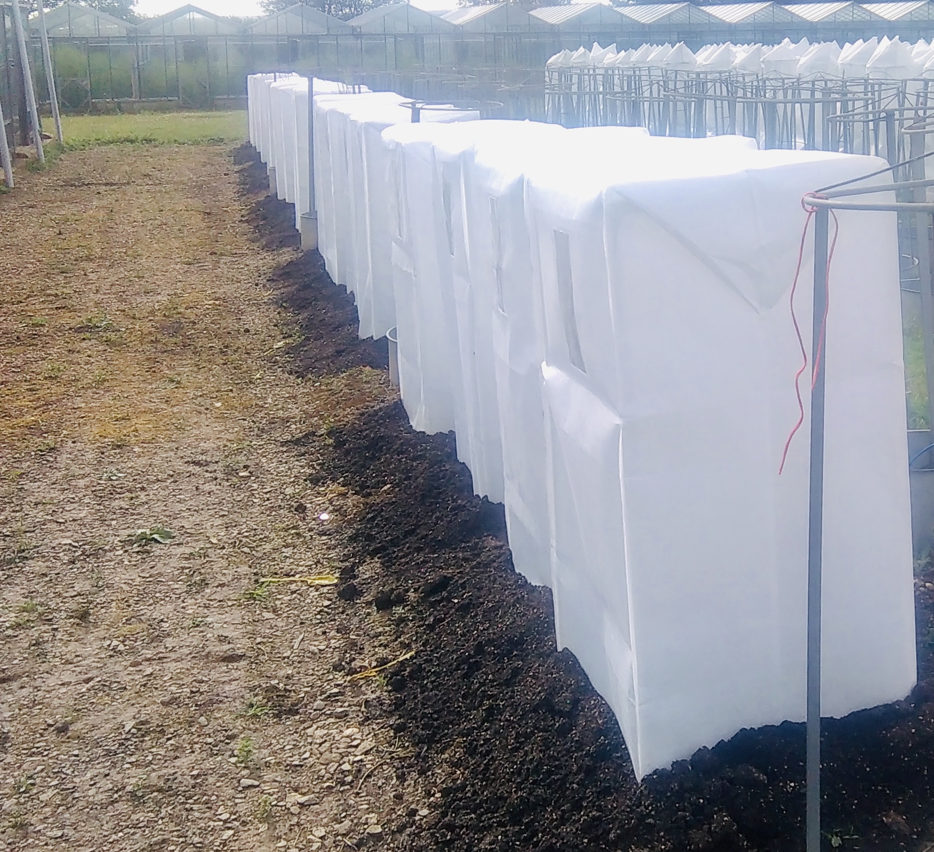 Latest Research Paper: Materials in PBS’s Mini-Tent Design Control ...