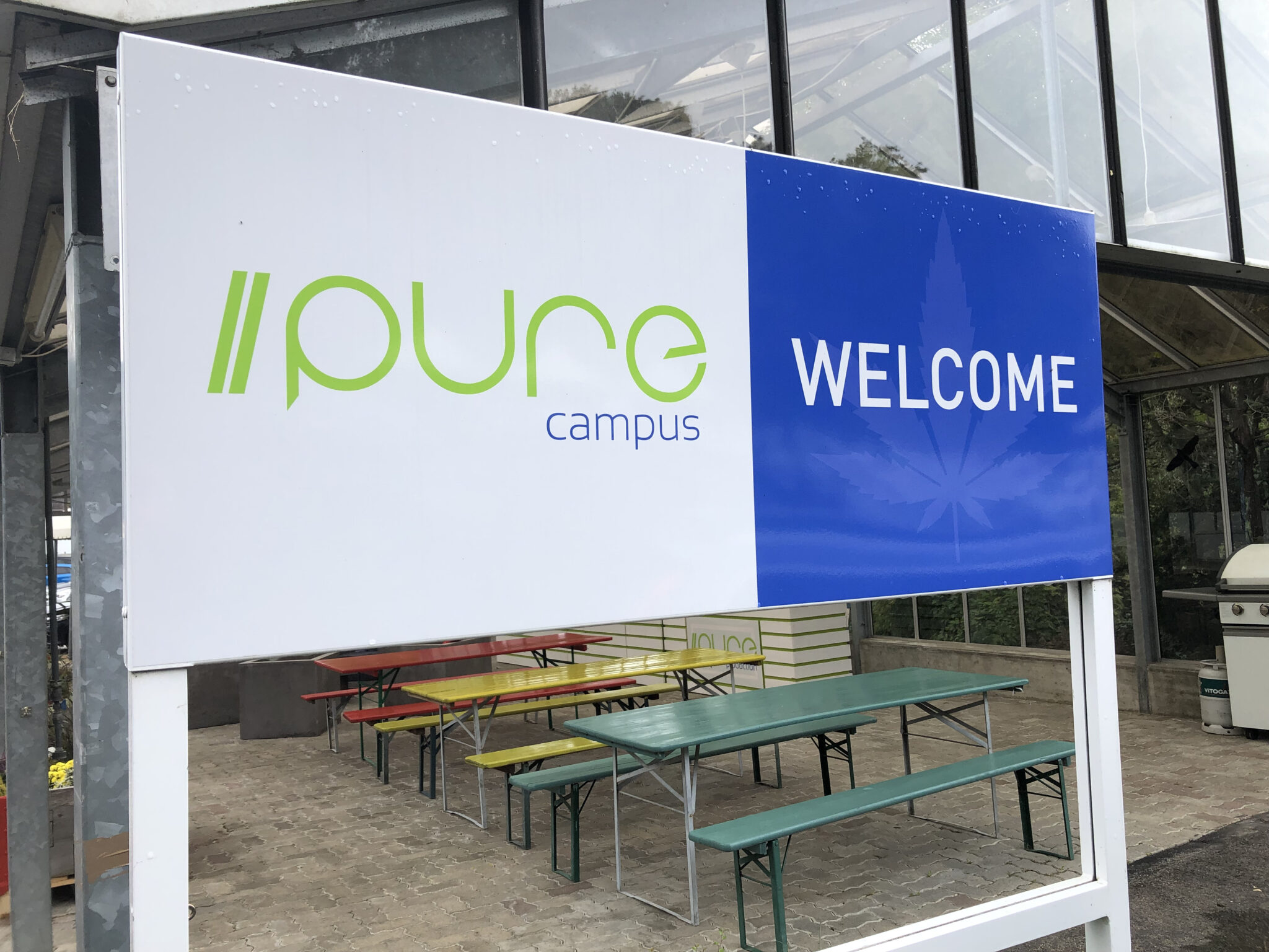 Cannabis and Hemp Research with Puregene