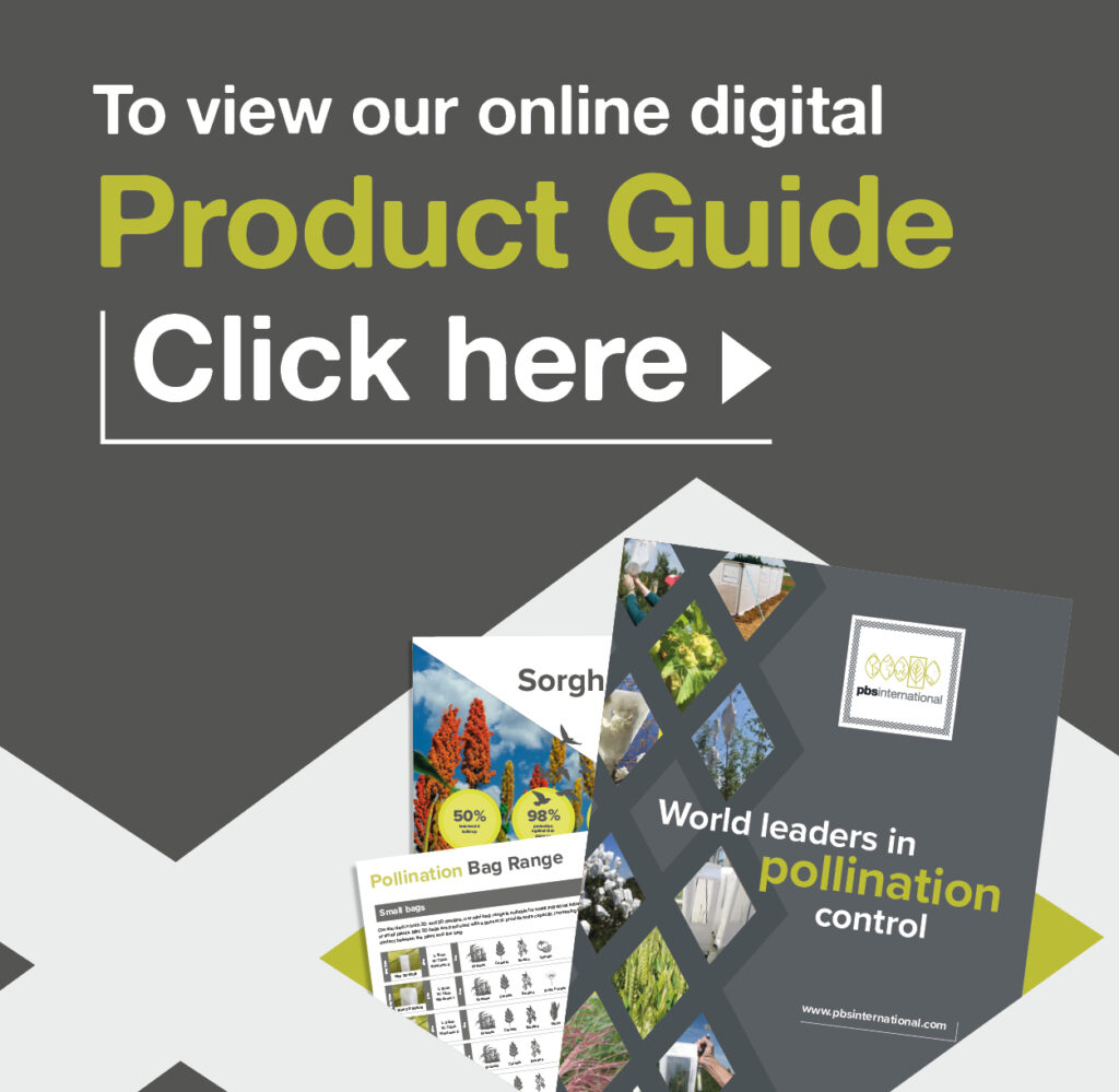 You do WHAT?! > PBS International